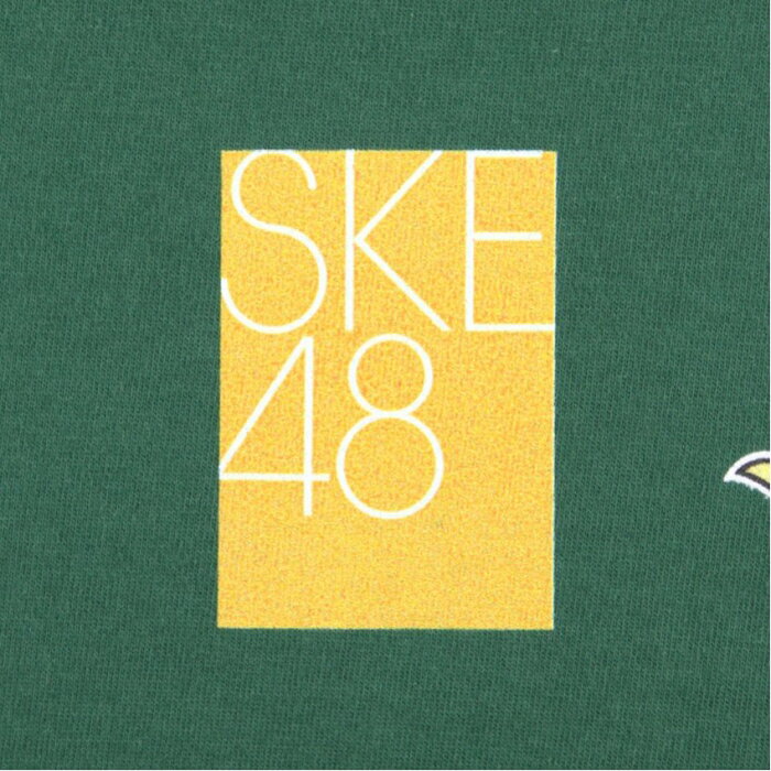 ske48 logo